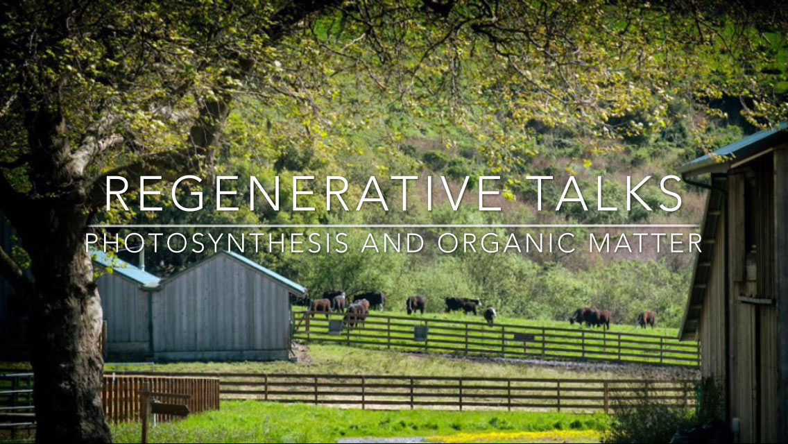 TomKat Ranch | We provide health food on working lands in a way that ...